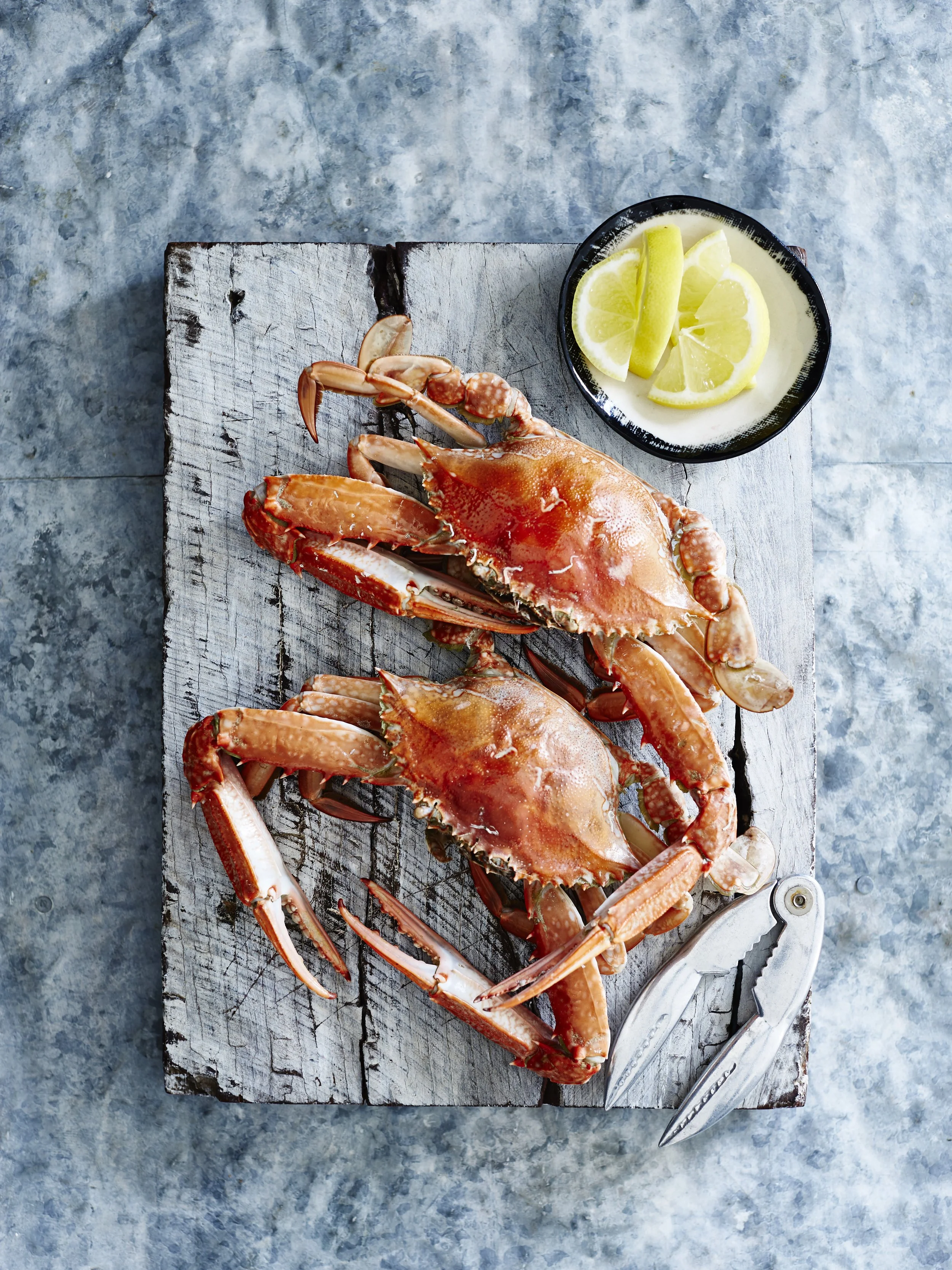 jane collins food stylist sydney | Explore Delicious Creations