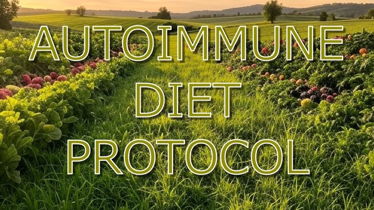 Navigating the Autoimmune Protocol (AIP) Diet: A Path to Gut Healing ...