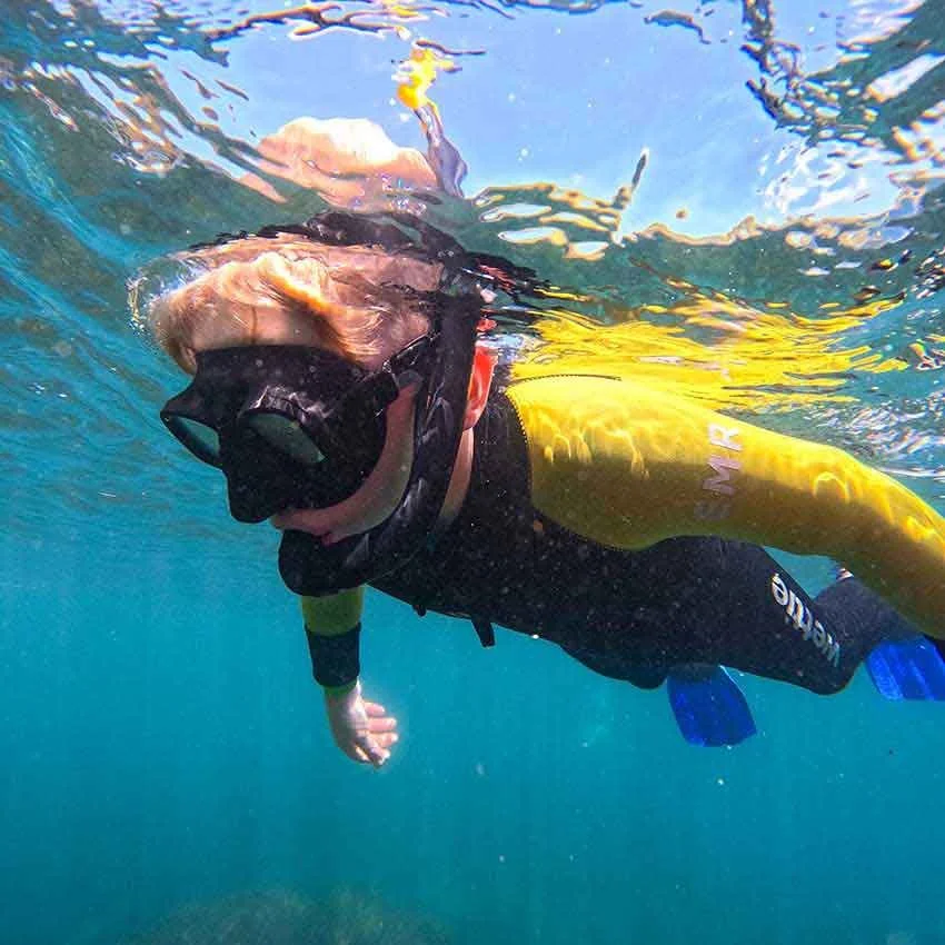 Te Kohuroa Rewilding | Community-Led Marine Restoration
