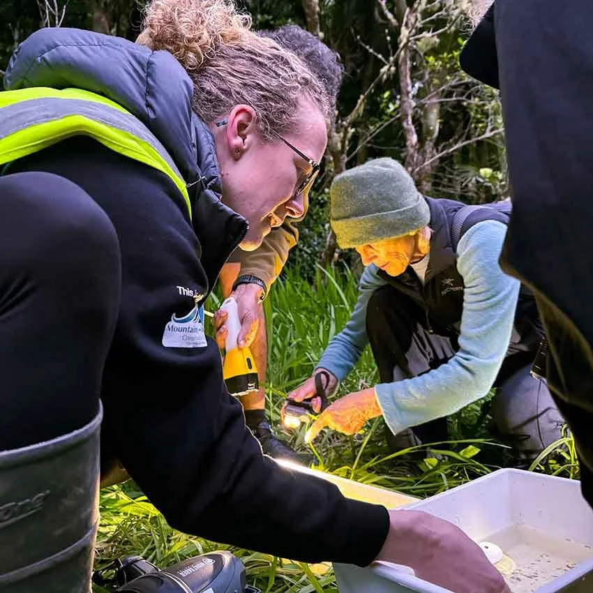 Te Kohuroa Rewilding | Community-Led Marine Restoration