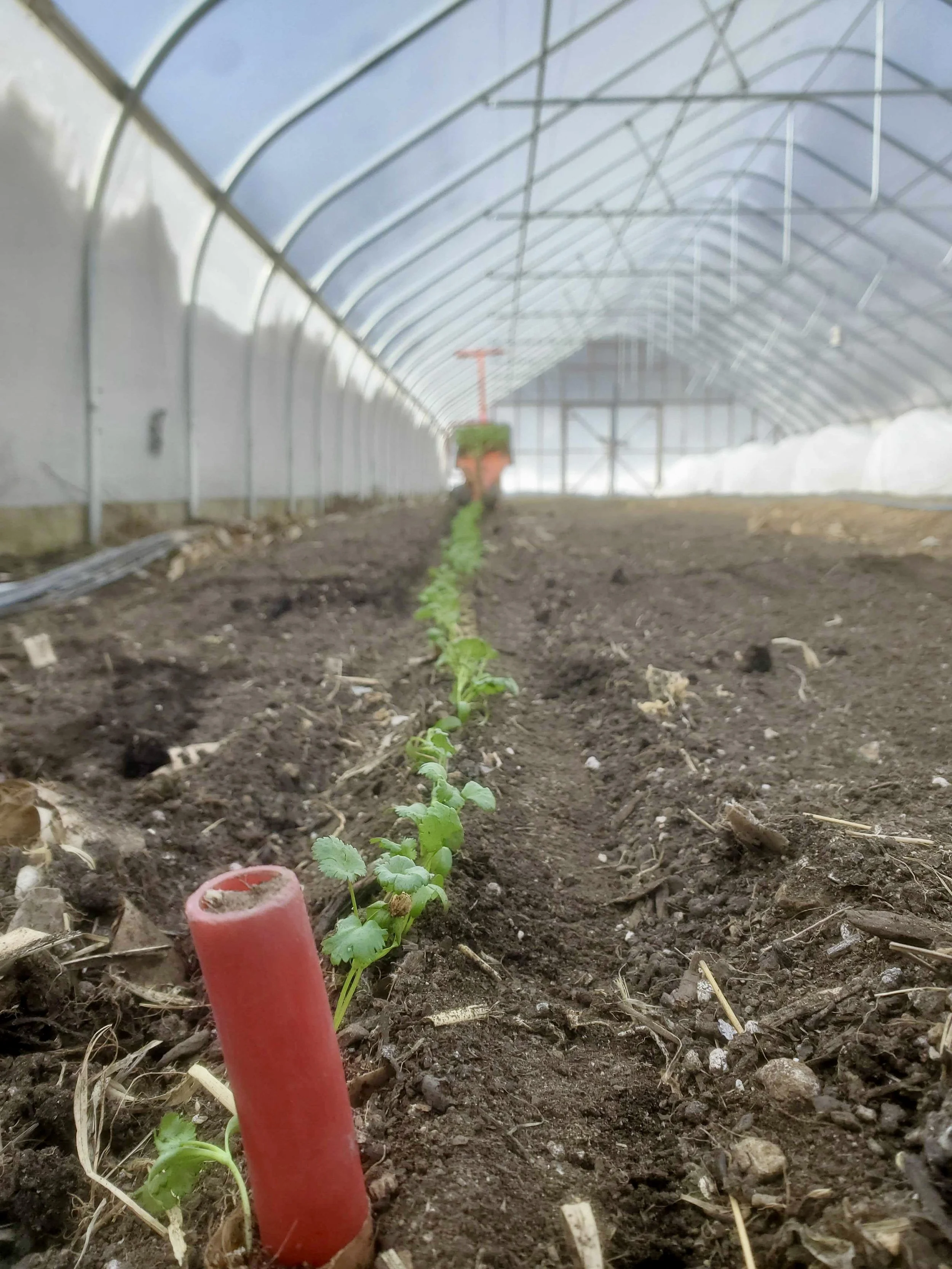 Nurturing Our Future: 4 Reasons to invest in climate resilience on the ...
