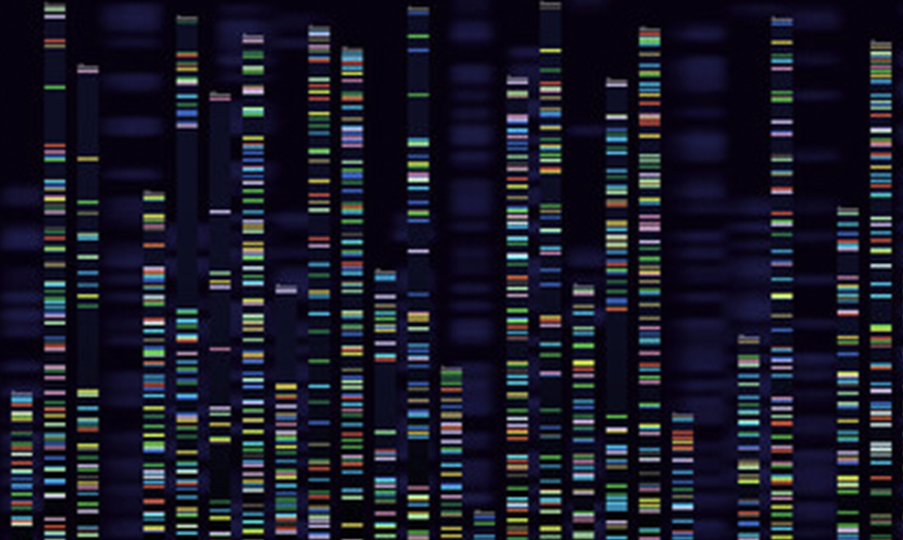 Health AI Data Services | Advance Health Research Today — AI & Digital ...