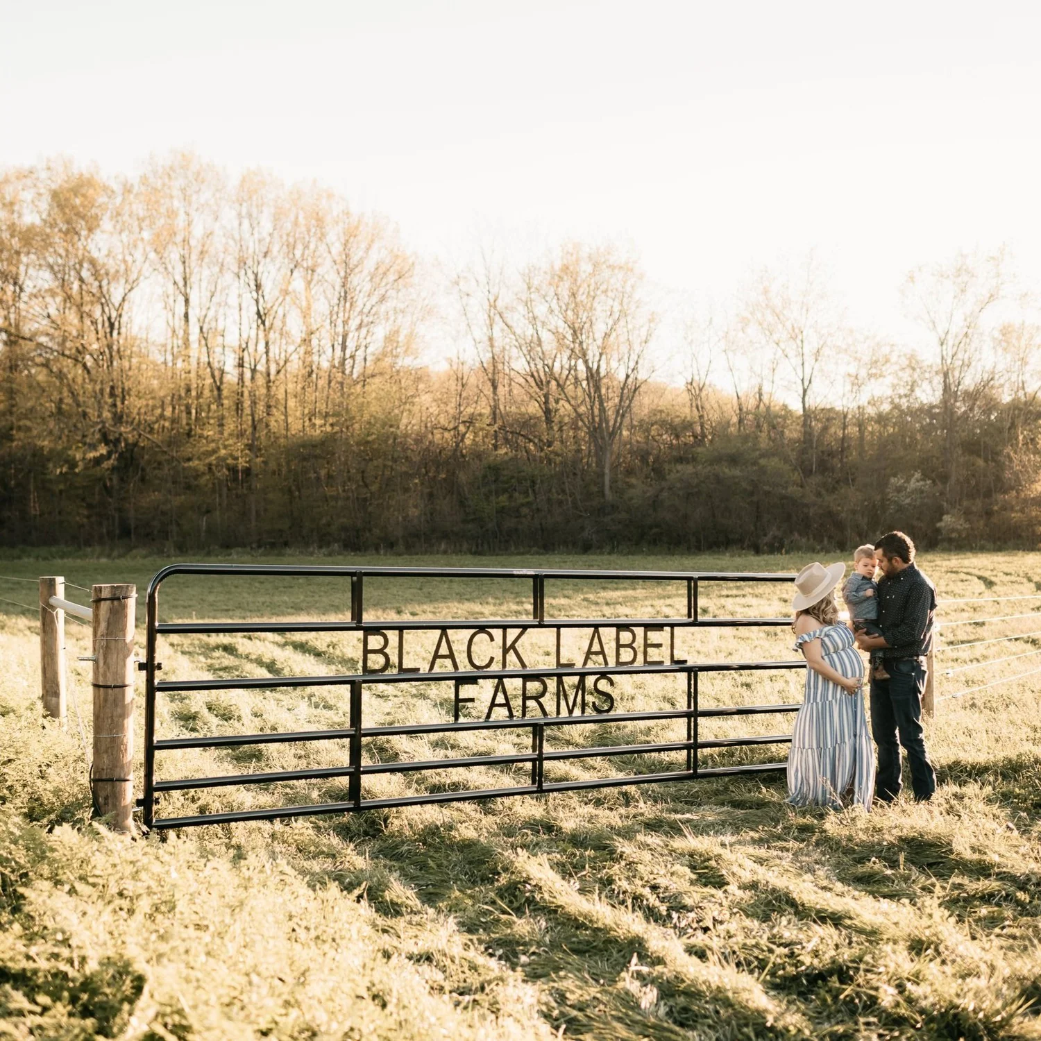 Black Label Farms | British White Beef | Sustainability | Edon, OH