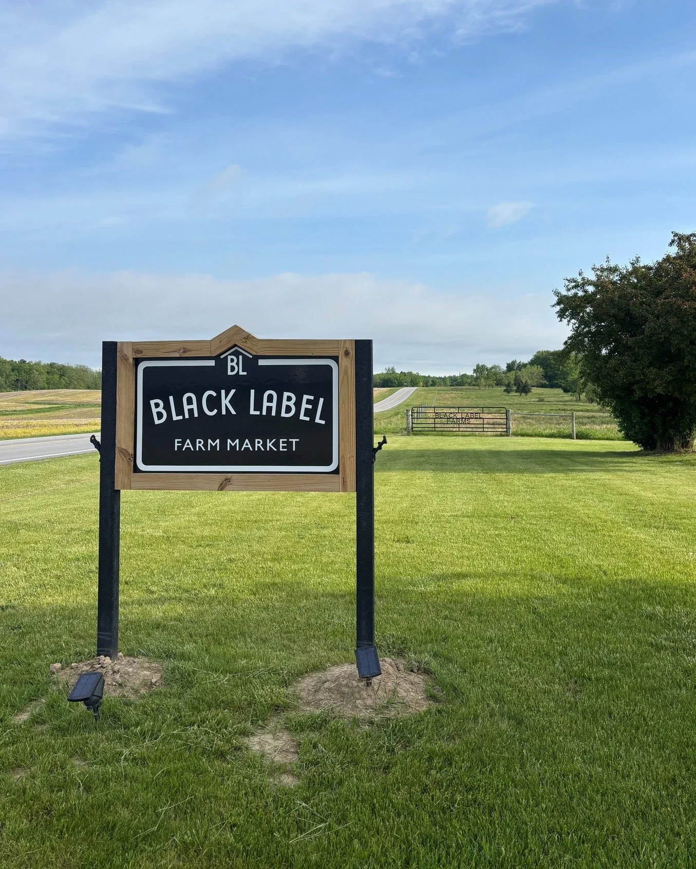 The Benefits of Buying Local Beef: Why It Matters for Your Table and ...