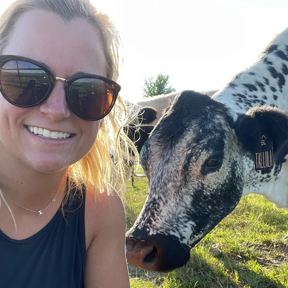 Black Label Farms | British White Beef | Sustainability | Edon, OH