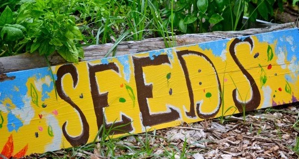 History — seedsnc