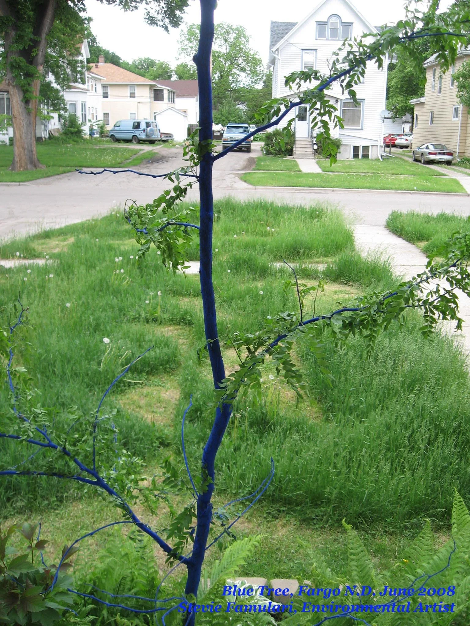Residential Exteriors — Engaging Green