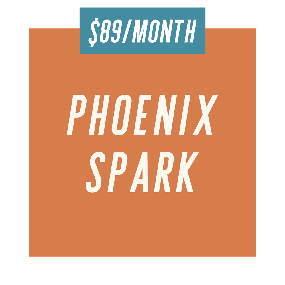 Services — Phoenix Wellness Center