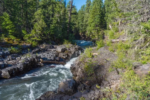 Northwest Forest Plan TRIBAL HUB