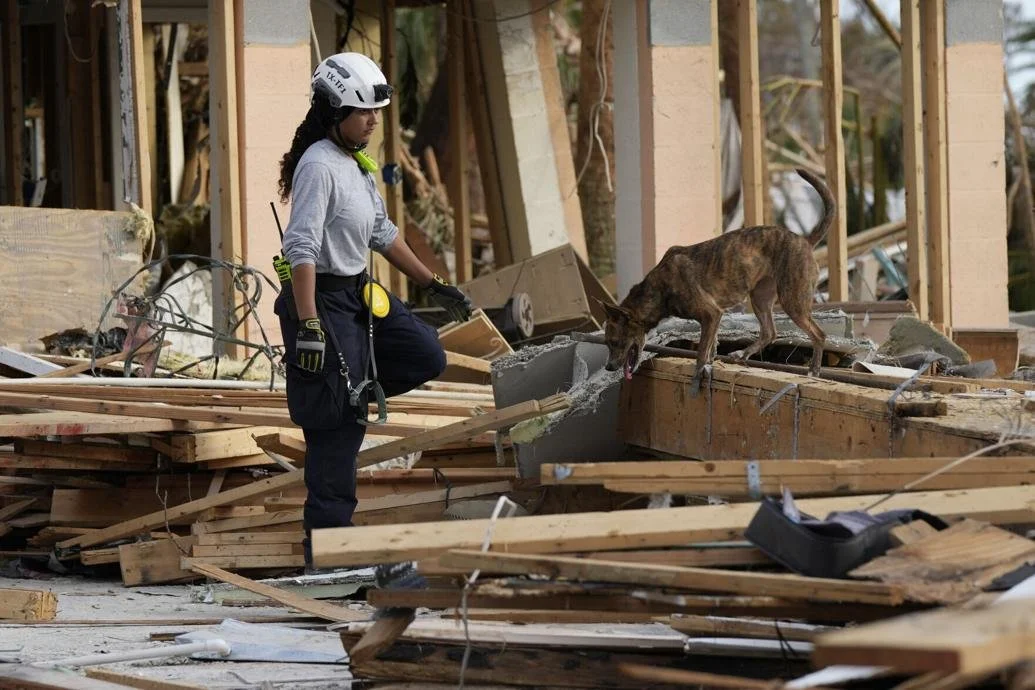 SAR Canine Resources — Category 5 K9