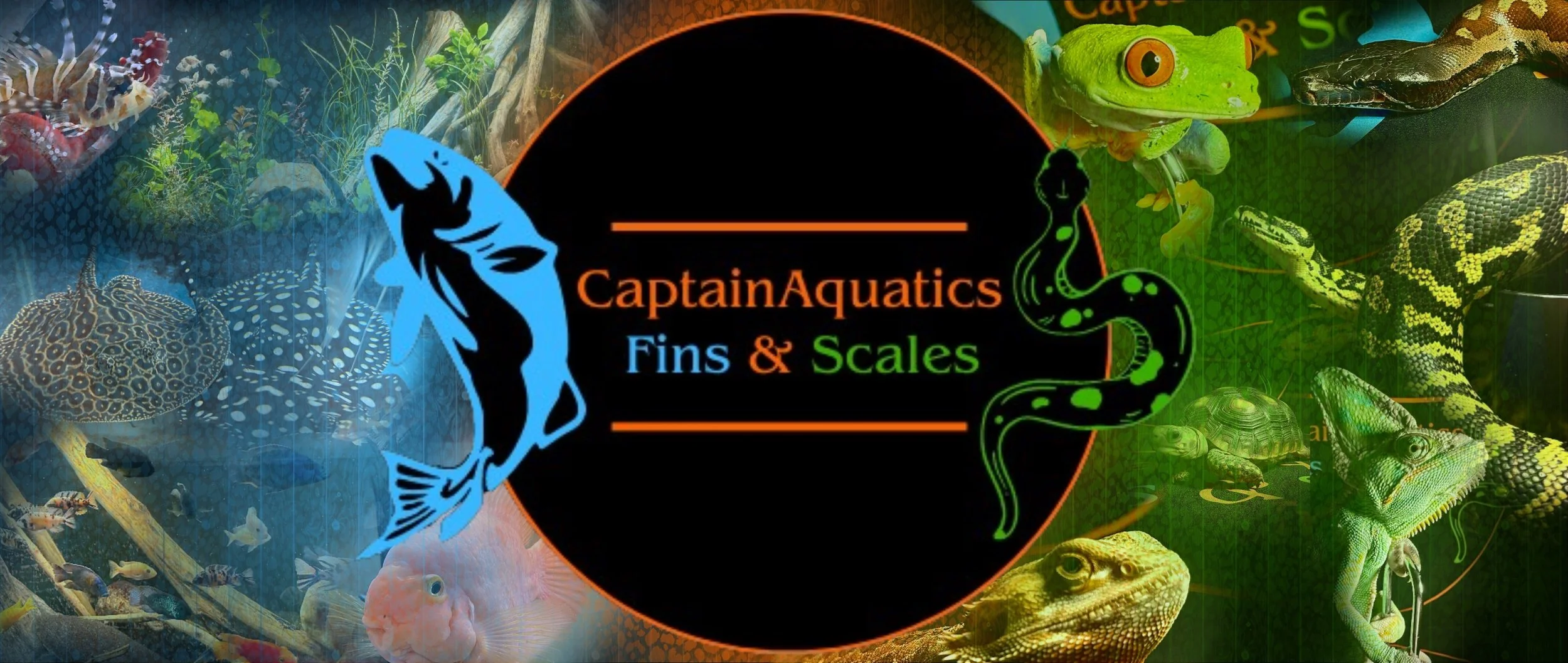 CaptainAquatics Fins & Scales