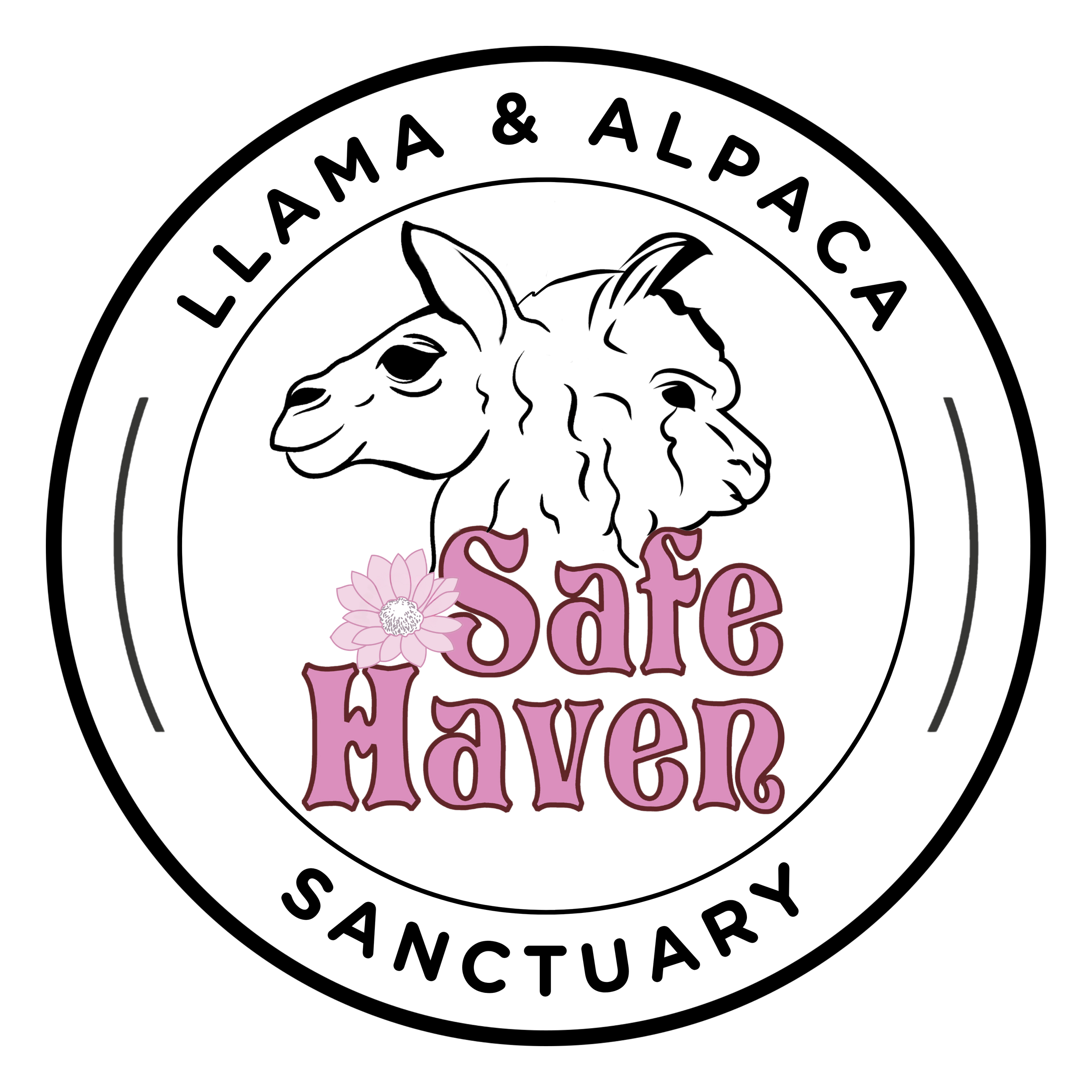 Get Involved — Safe Haven Llamas