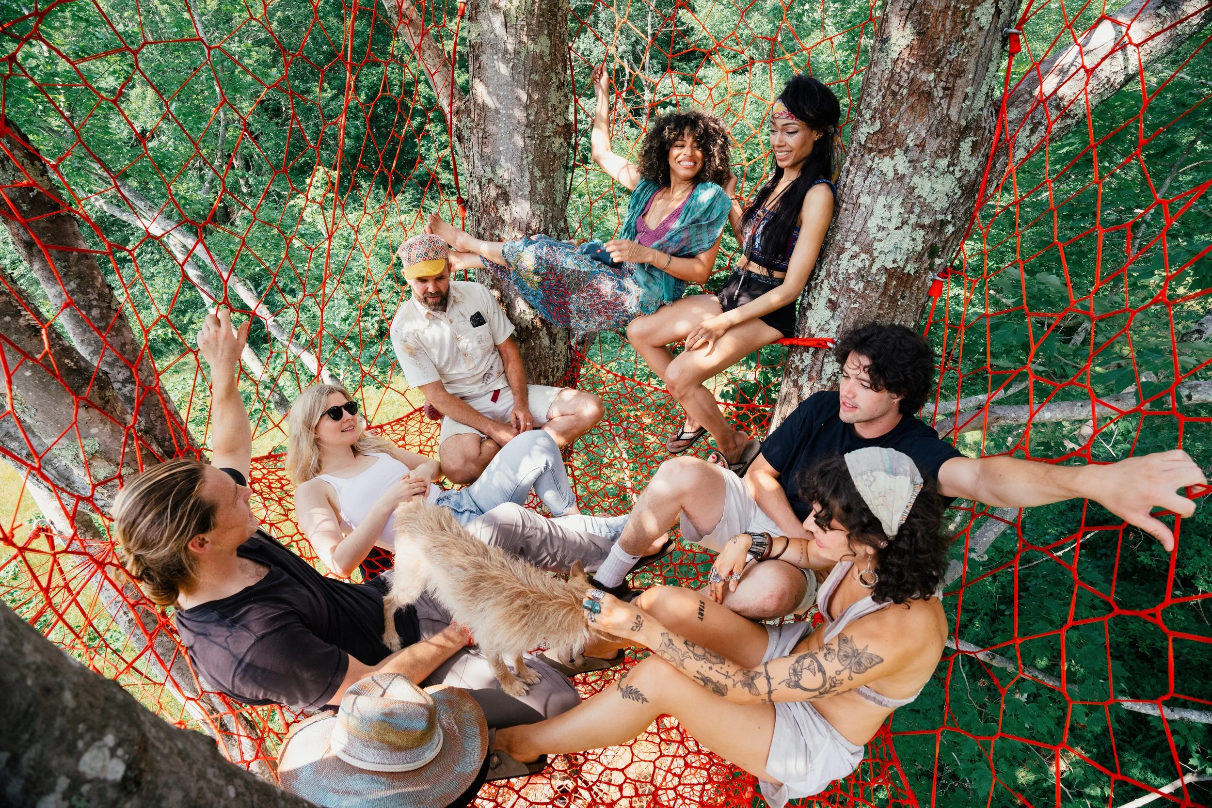 Treenet Collective — treenets and indoor paracord nets for businesses