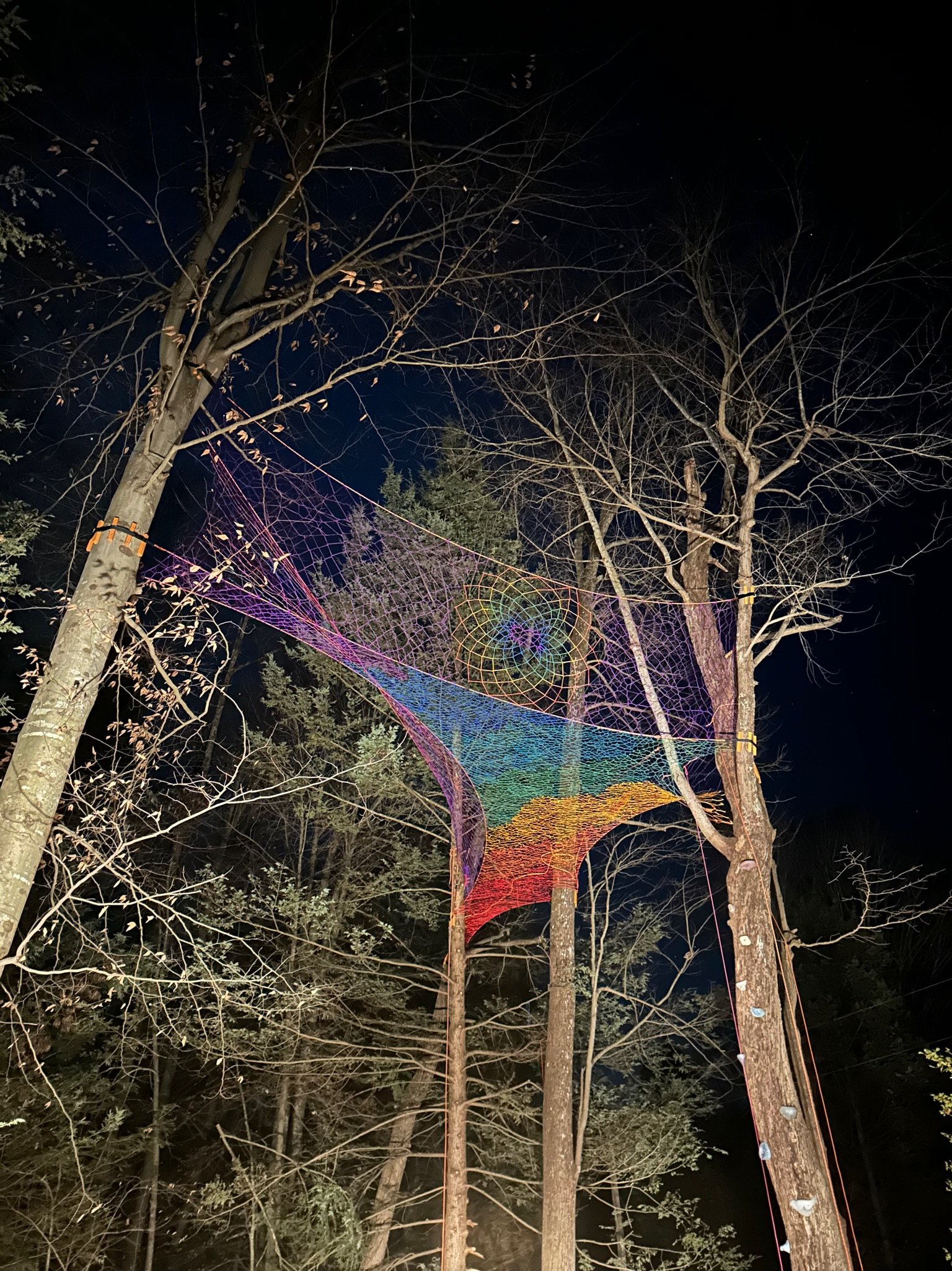 Weave a treenet at home — Treenet Collective