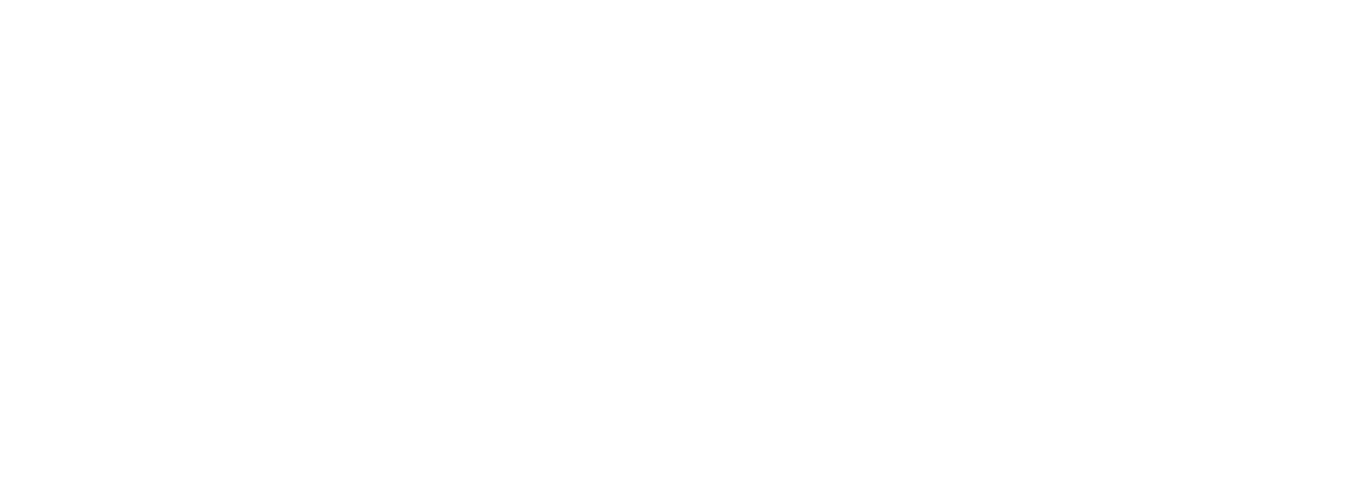 Treenet Collective — treenets and indoor paracord nets for businesses