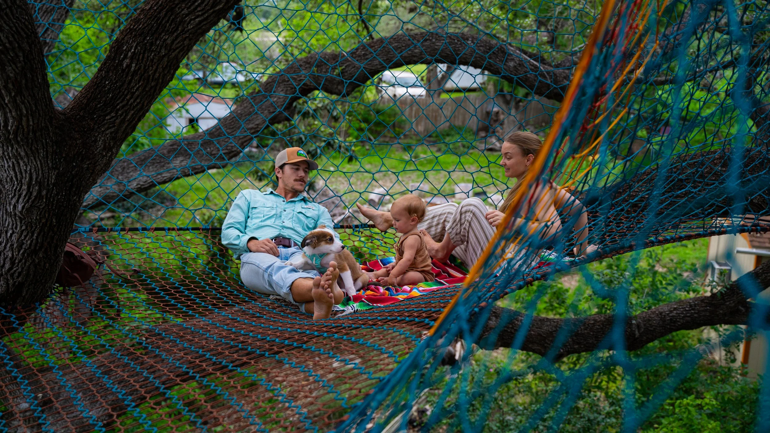 Treenet Collective — treenets and indoor paracord nets for businesses