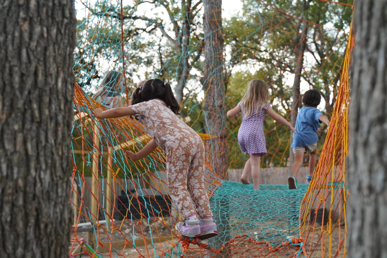 Treenet Collective — treenets and indoor paracord nets for businesses