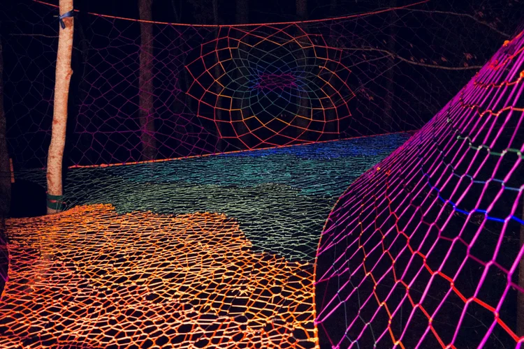 Treenet Collective — treenets and indoor paracord nets for businesses