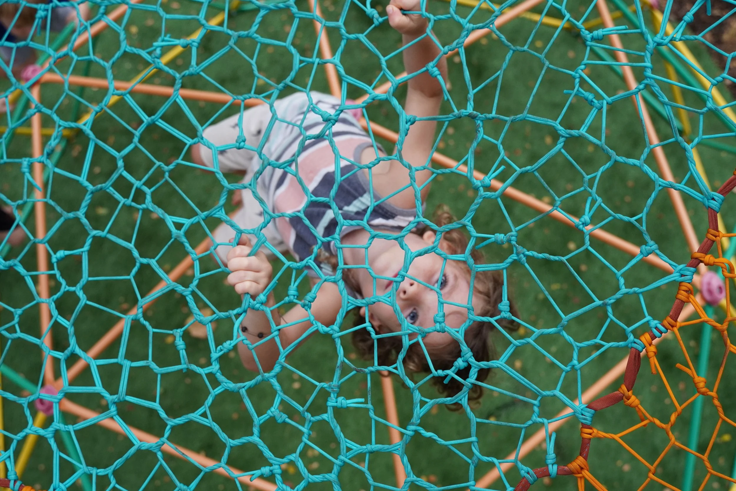 Treenet Collective — treenets and indoor paracord nets for businesses