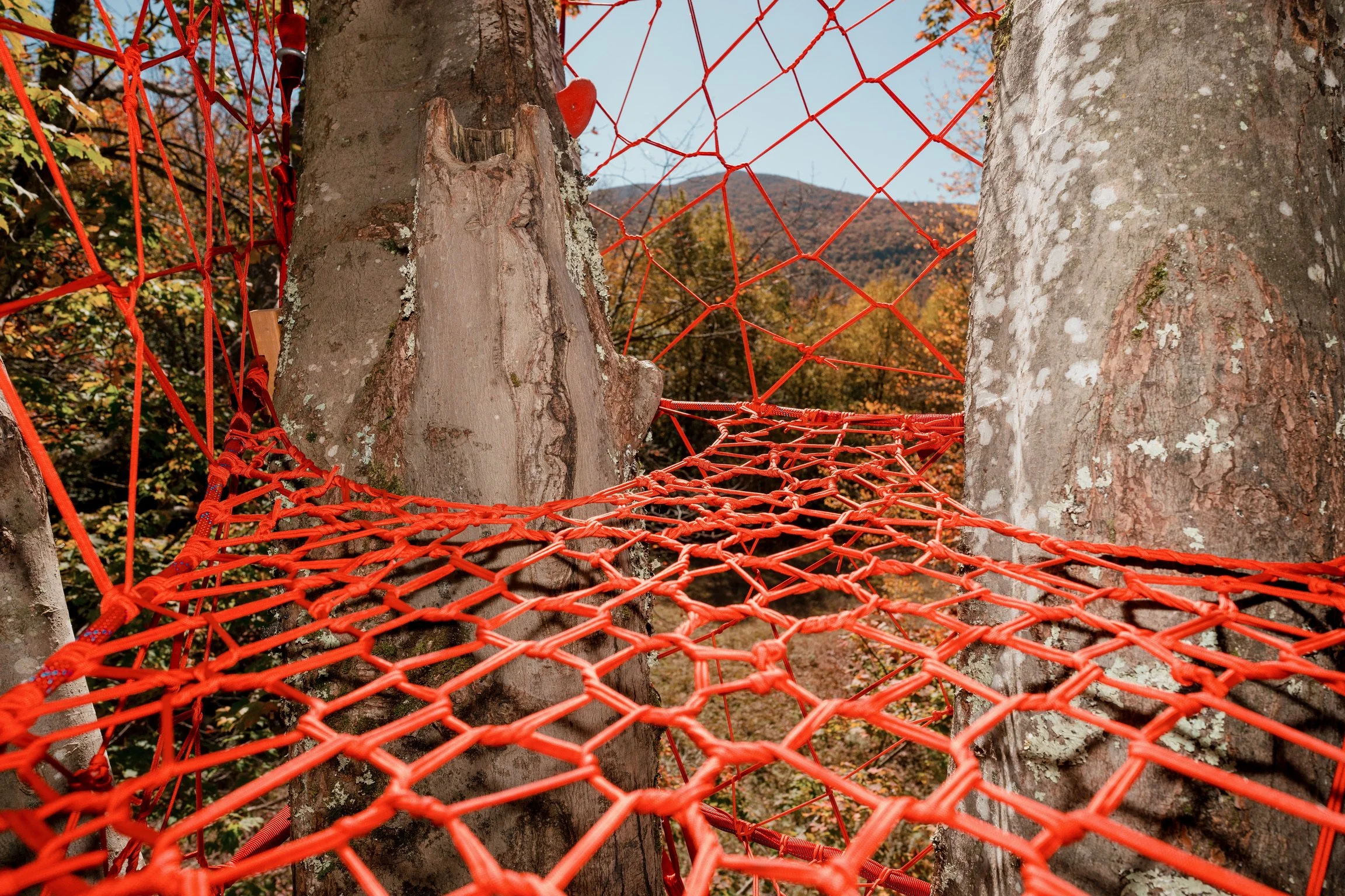 Treenet Collective — treenets and indoor paracord nets for businesses