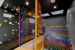 Treenet Collective — treenets and indoor paracord nets for businesses