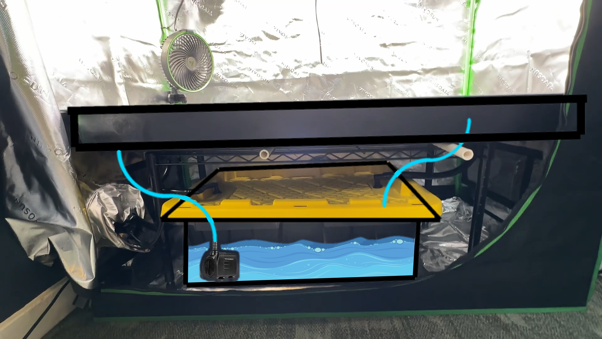 Ebb & Flow Guide — Strain Show
