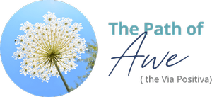 Creation Spirituality Communities