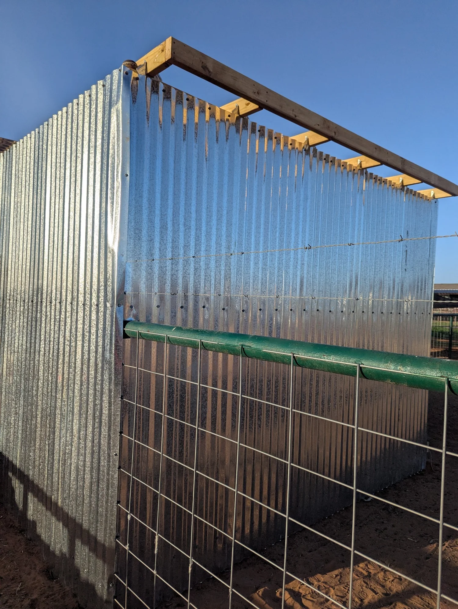 DIY Sheep Shelter and Pen Setup | Ranch Project Update — Sandy Patch Ranch