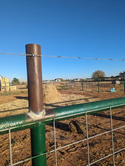 DIY Sheep Shelter and Pen Setup | Ranch Project Update — Sandy Patch Ranch