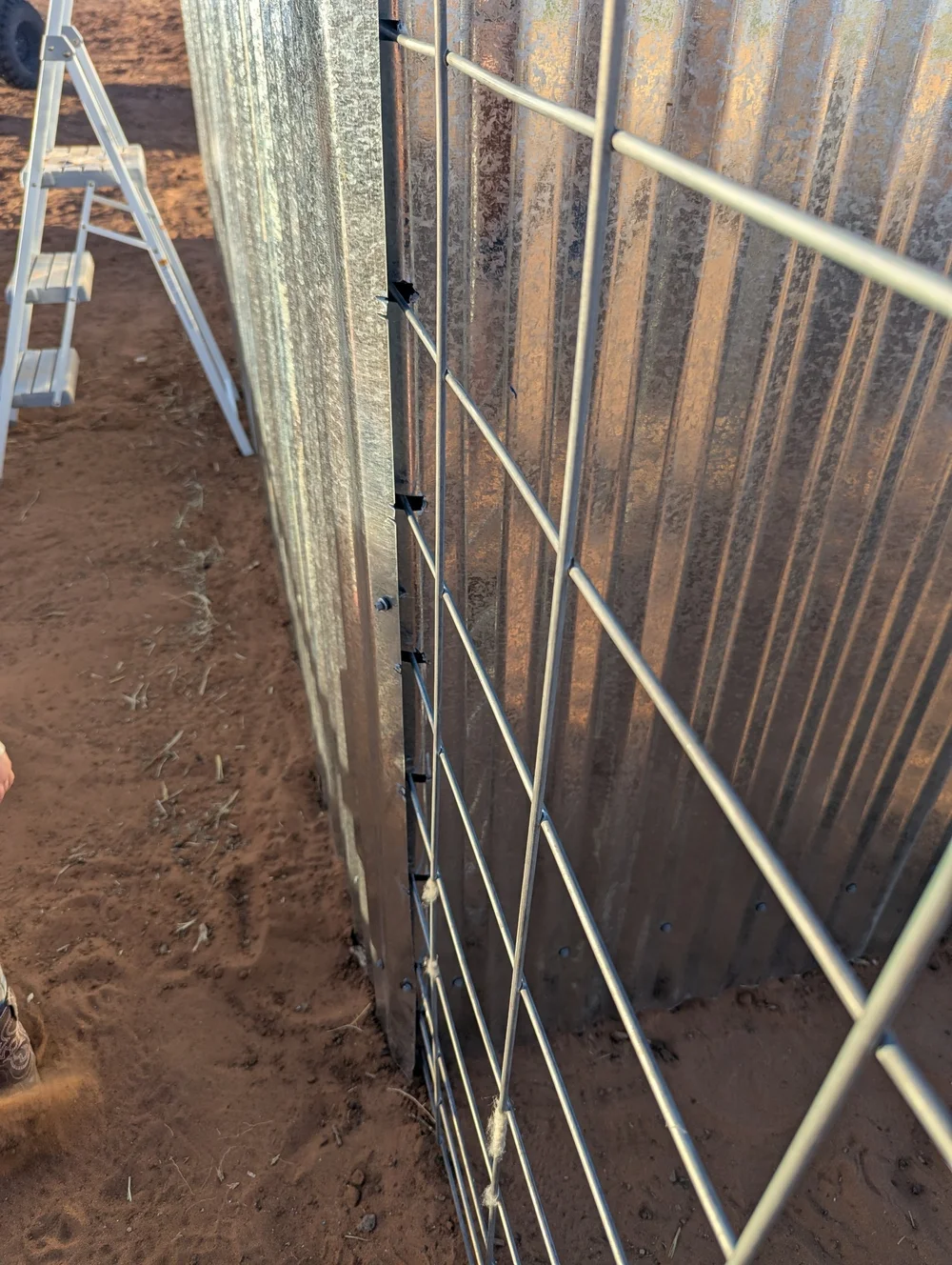 DIY Sheep Shelter and Pen Setup | Ranch Project Update — Sandy Patch Ranch