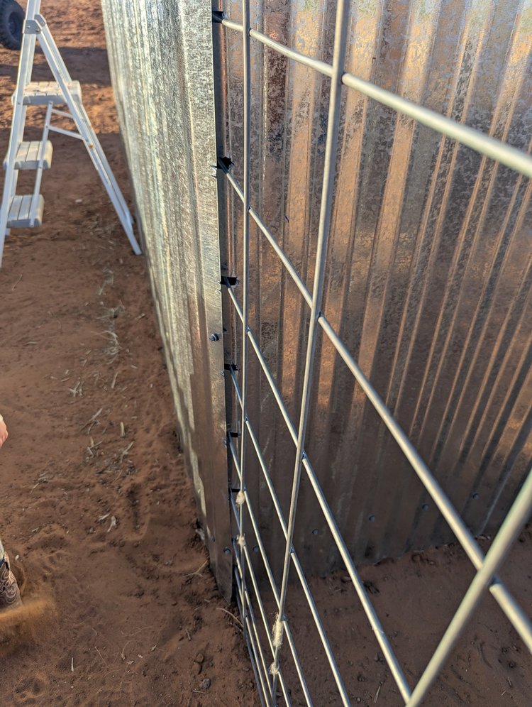 DIY Sheep Shelter and Pen Setup | Ranch Project Update — Sandy Patch Ranch