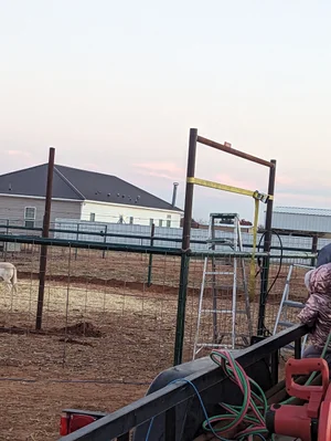 DIY Sheep Shelter and Pen Setup | Ranch Project Update — Sandy Patch Ranch