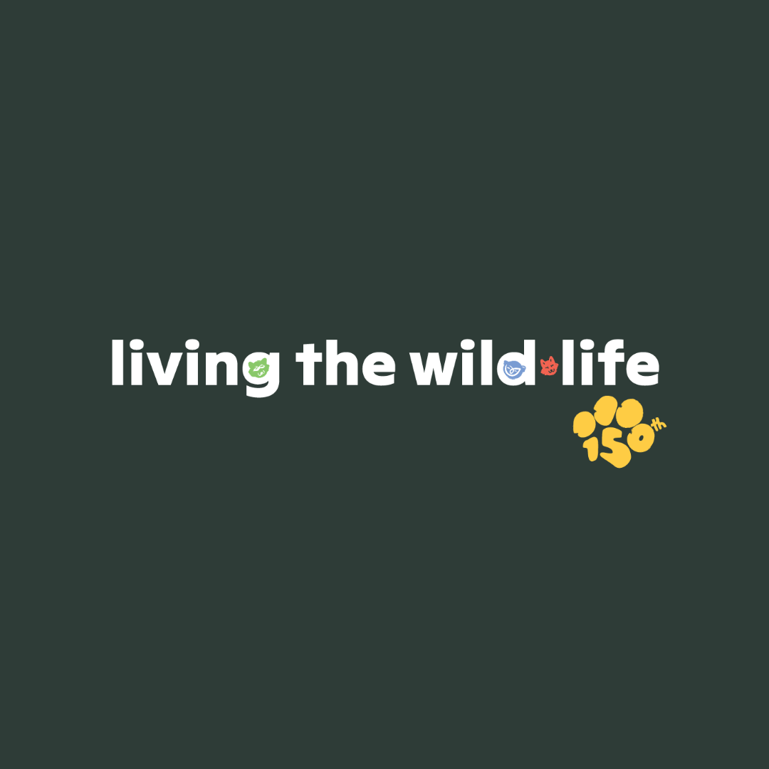 Living The Wild Life Sweatshirt / Green — Humane Animal Rescue of ...