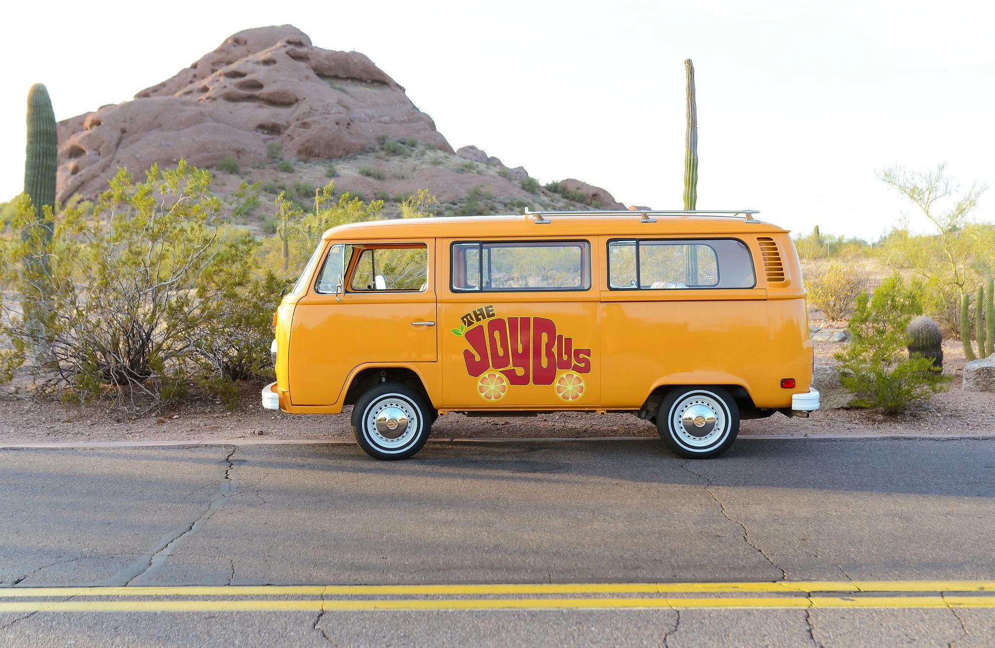 The Joy Bus