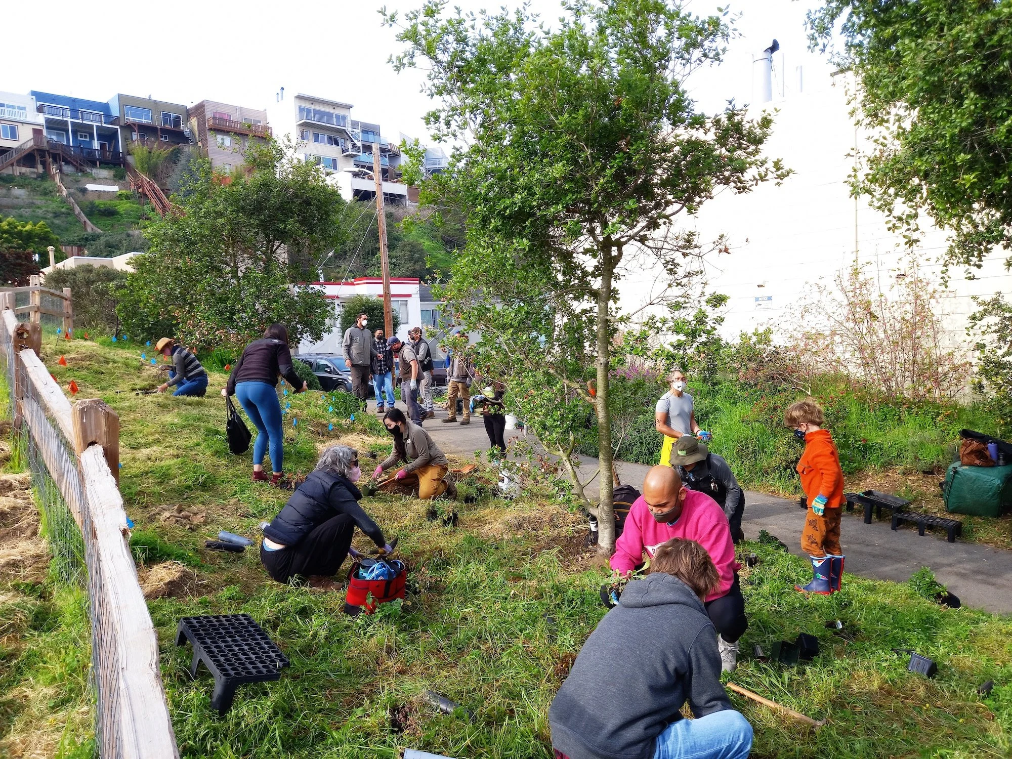 Volunteer — Nature in the City