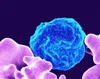 There are four major types of pathogens — Align Epigenetics