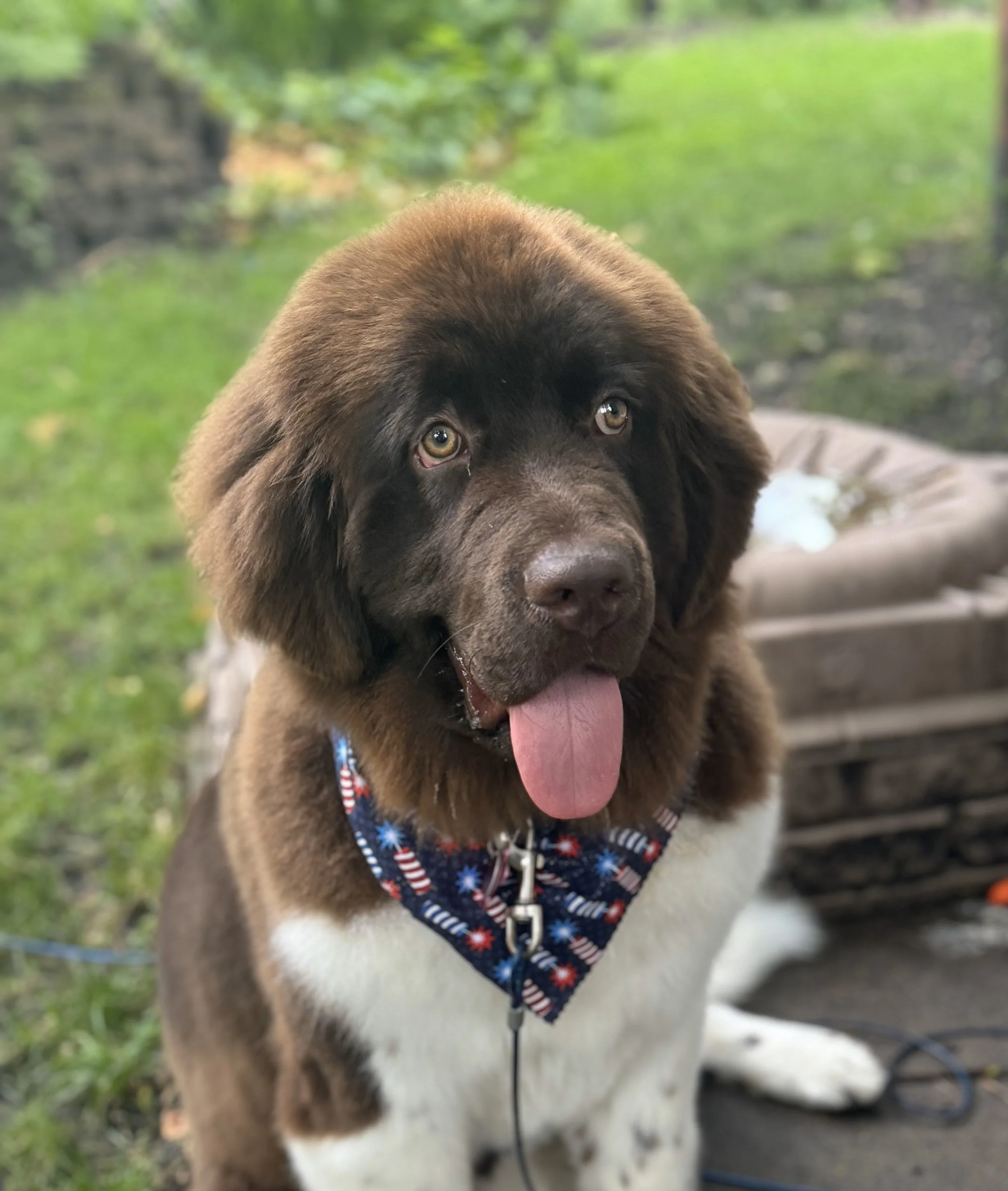 About — North River Builders