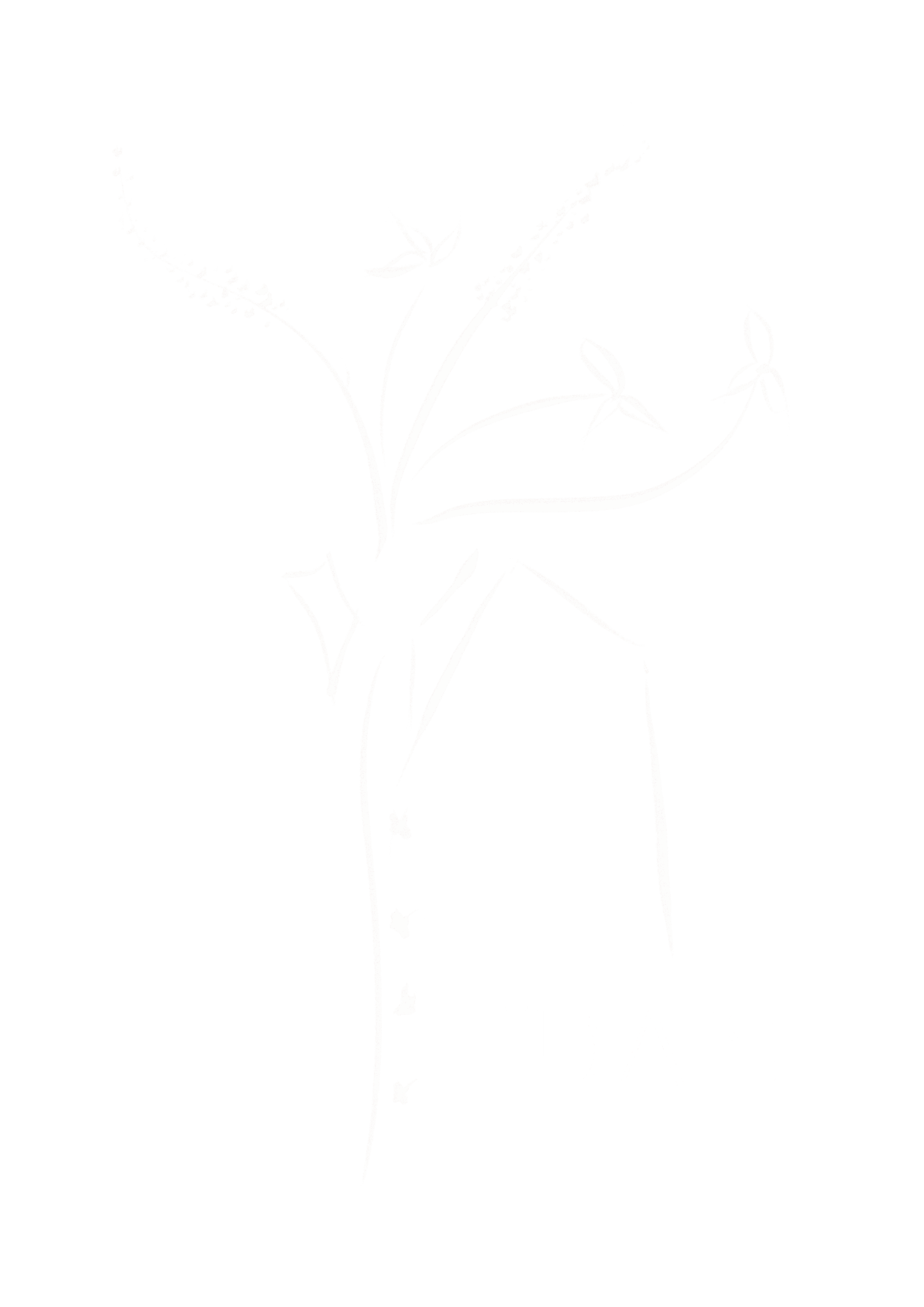 Ida's Bar and Event Space