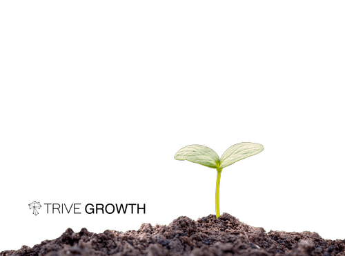 TRIVE News & Insights | Latest VC, PE & Web3 Investments & Events ...