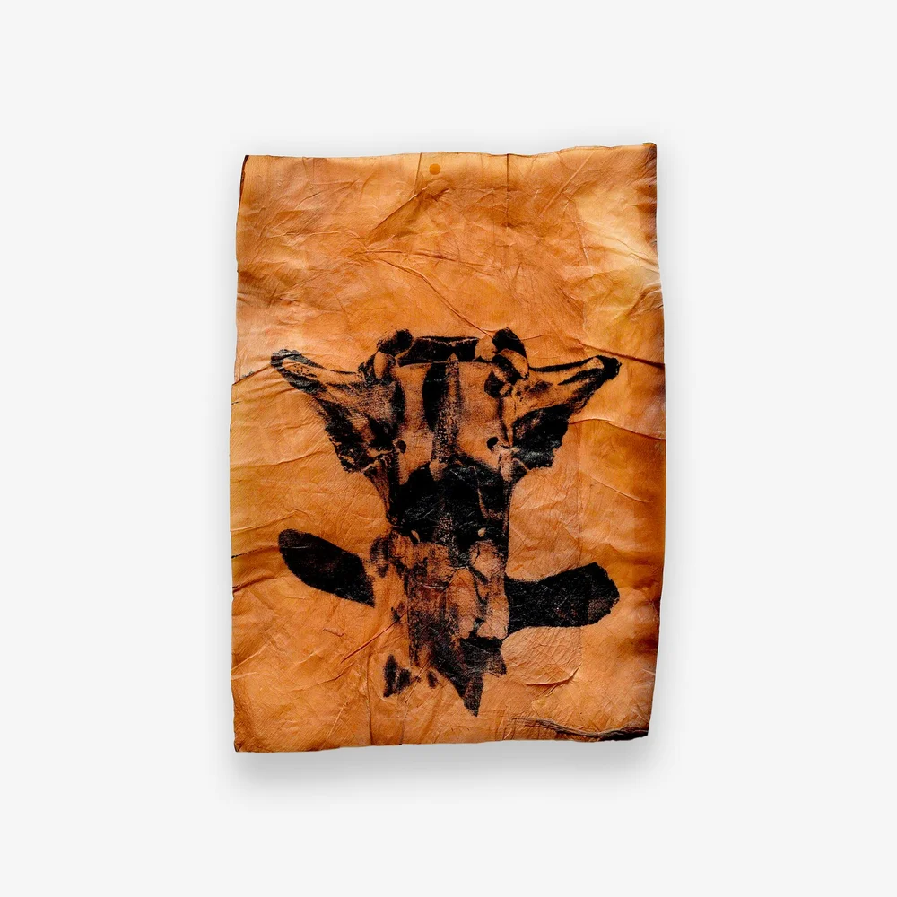 Lauren Pitson | Artists Futures Fund