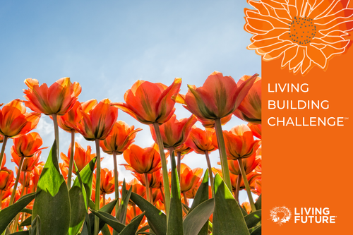 Build your very own EcoHome | The Living Building Challenge — Future ...