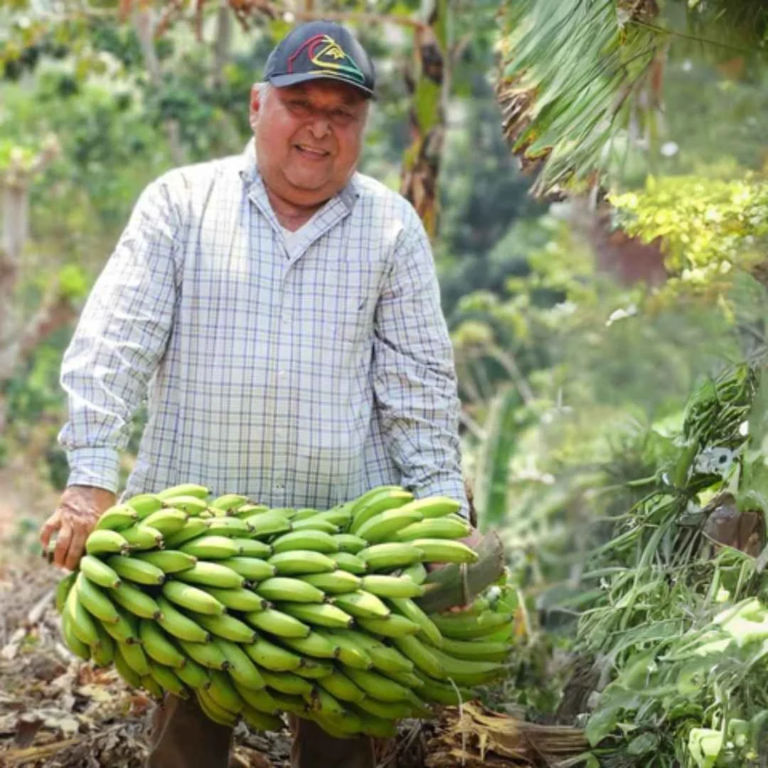 Rethinking Our Food System