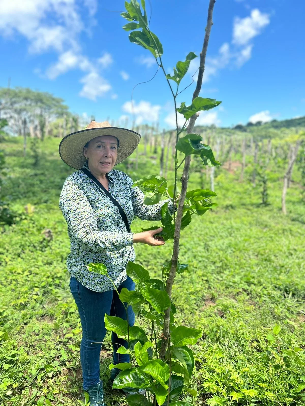The Visionary Behind the First Organic Passion Fruit Farm