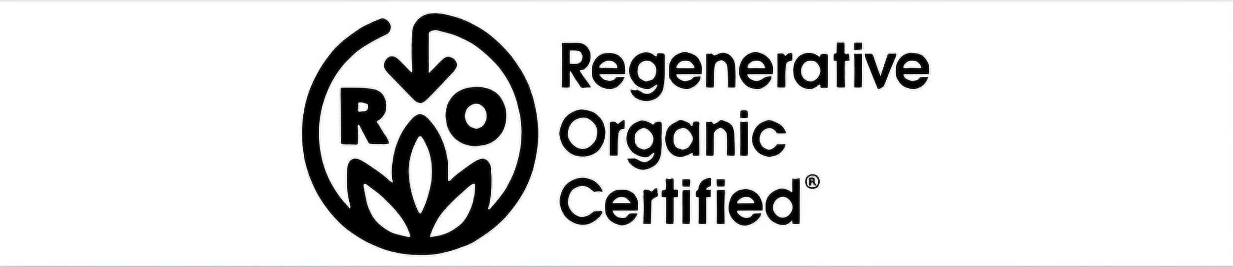 Organic Fruit Purees & Juices Supplier | Bulk B2B | Sol Organica