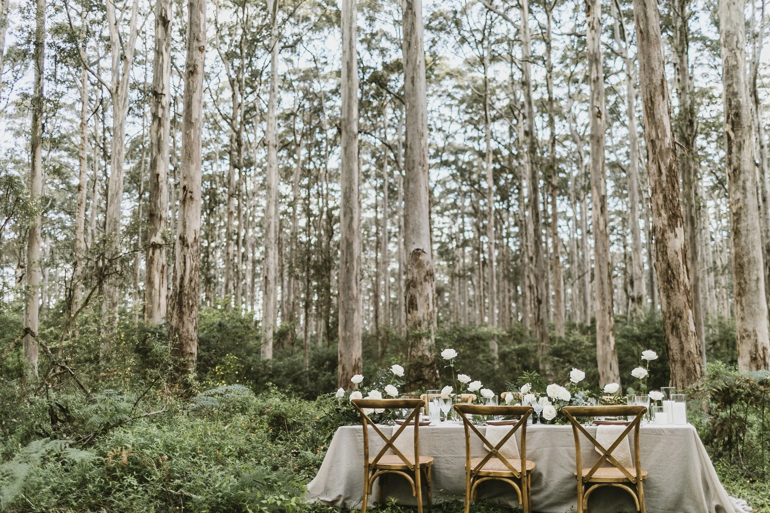South West Event Studio | Wedding & Event Hire in the Margaret River Region