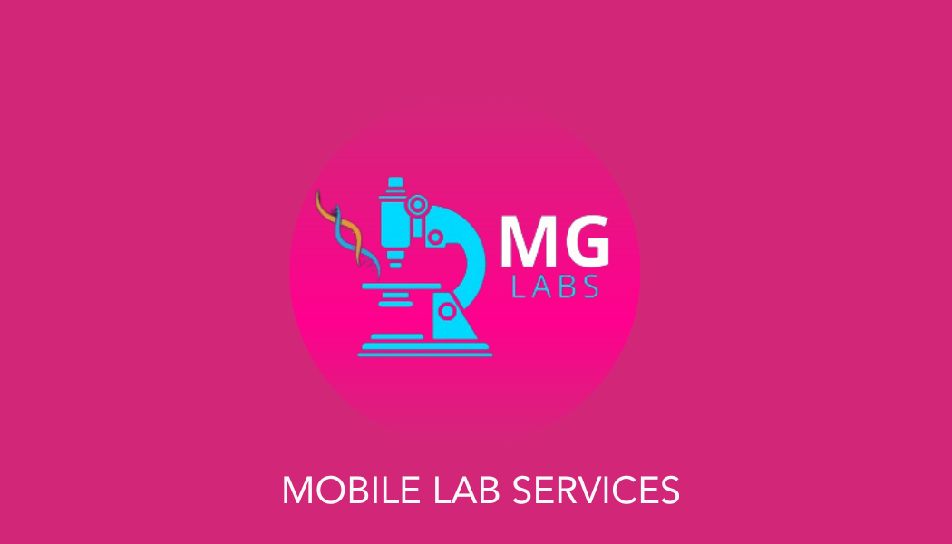 MG LABS LLC