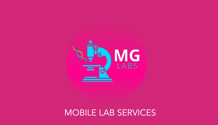 MG LABS LLC