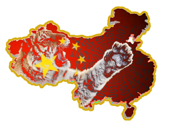 Eye on China: Summaries of 16 Survey Polls Conducted by China Gray Zone ...
