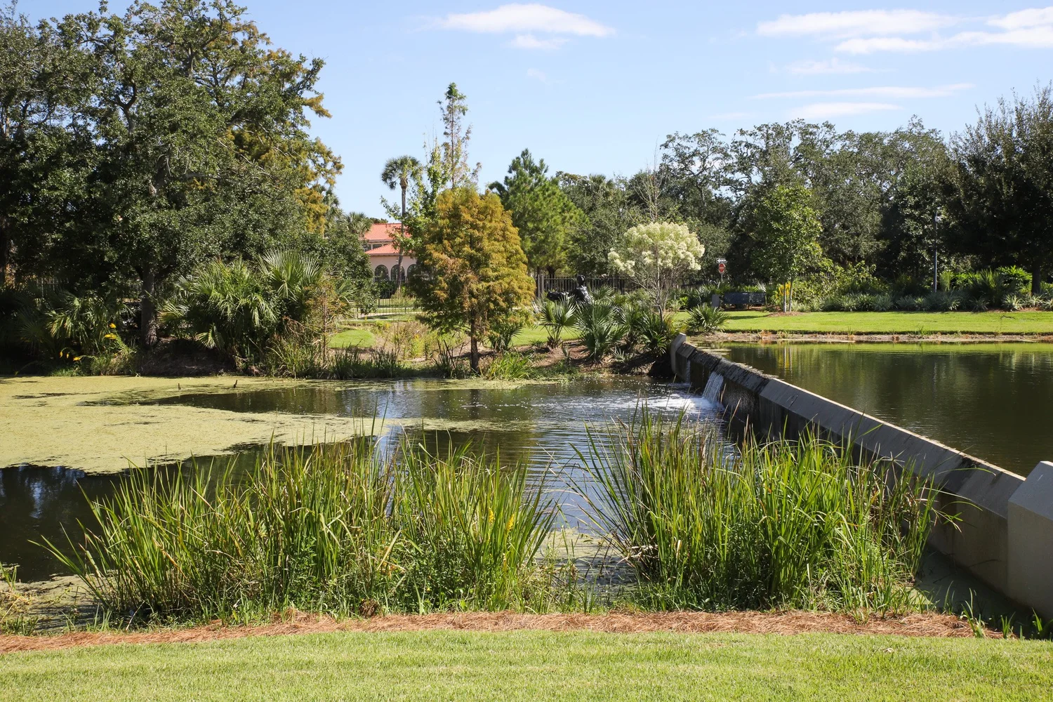 Pearl River Flood Control Project | Jackson, Mississippi — Pearl River ...