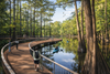 Pearl River Flood Control Project | Jackson, Mississippi — Pearl River ...